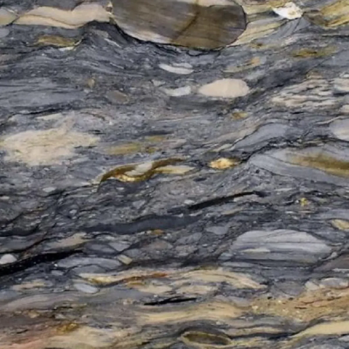 Exotic Patterns of Fusion Quartzite Slabs From Ultra Stones