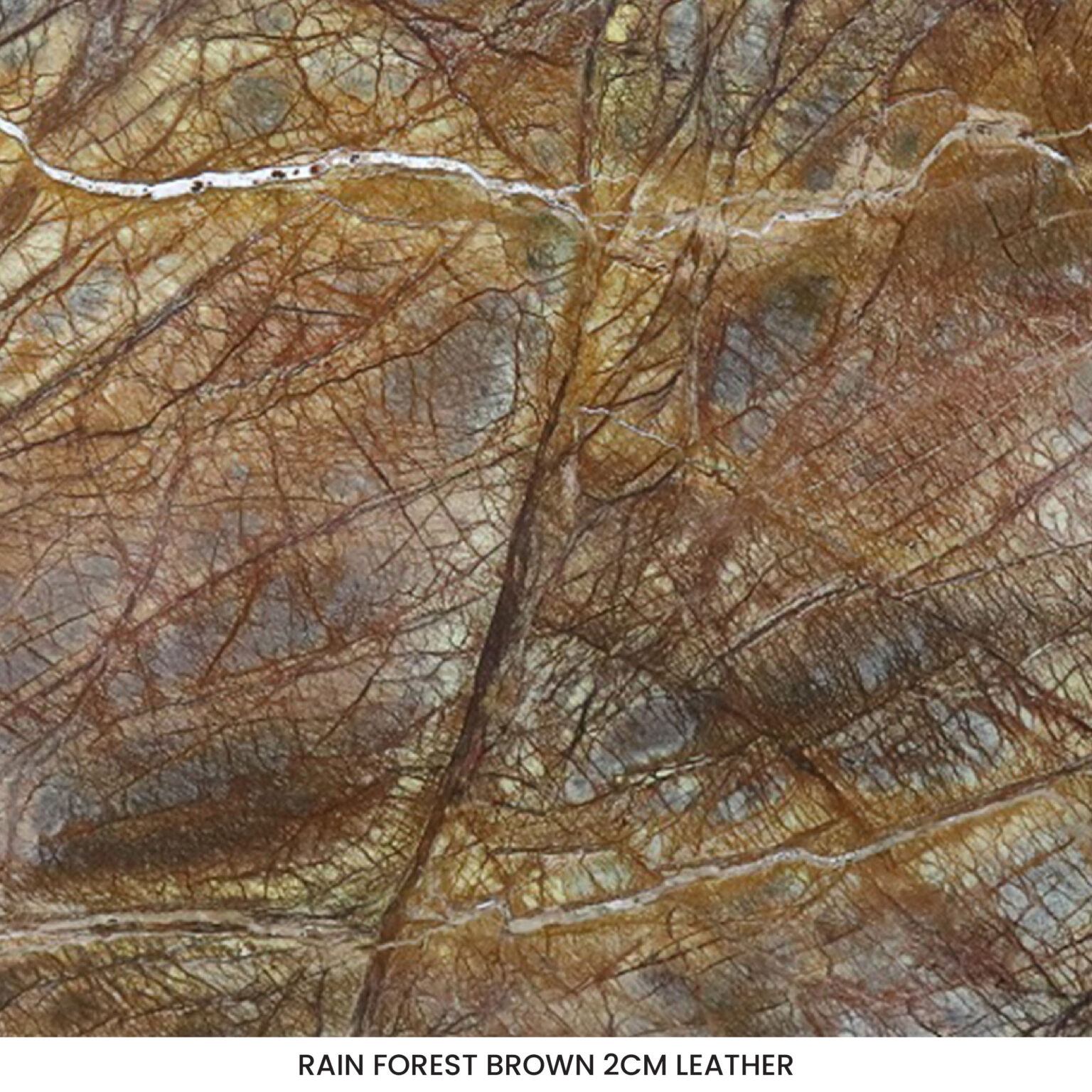 The Picturesque Patterns of Rainforest Brown Marbles